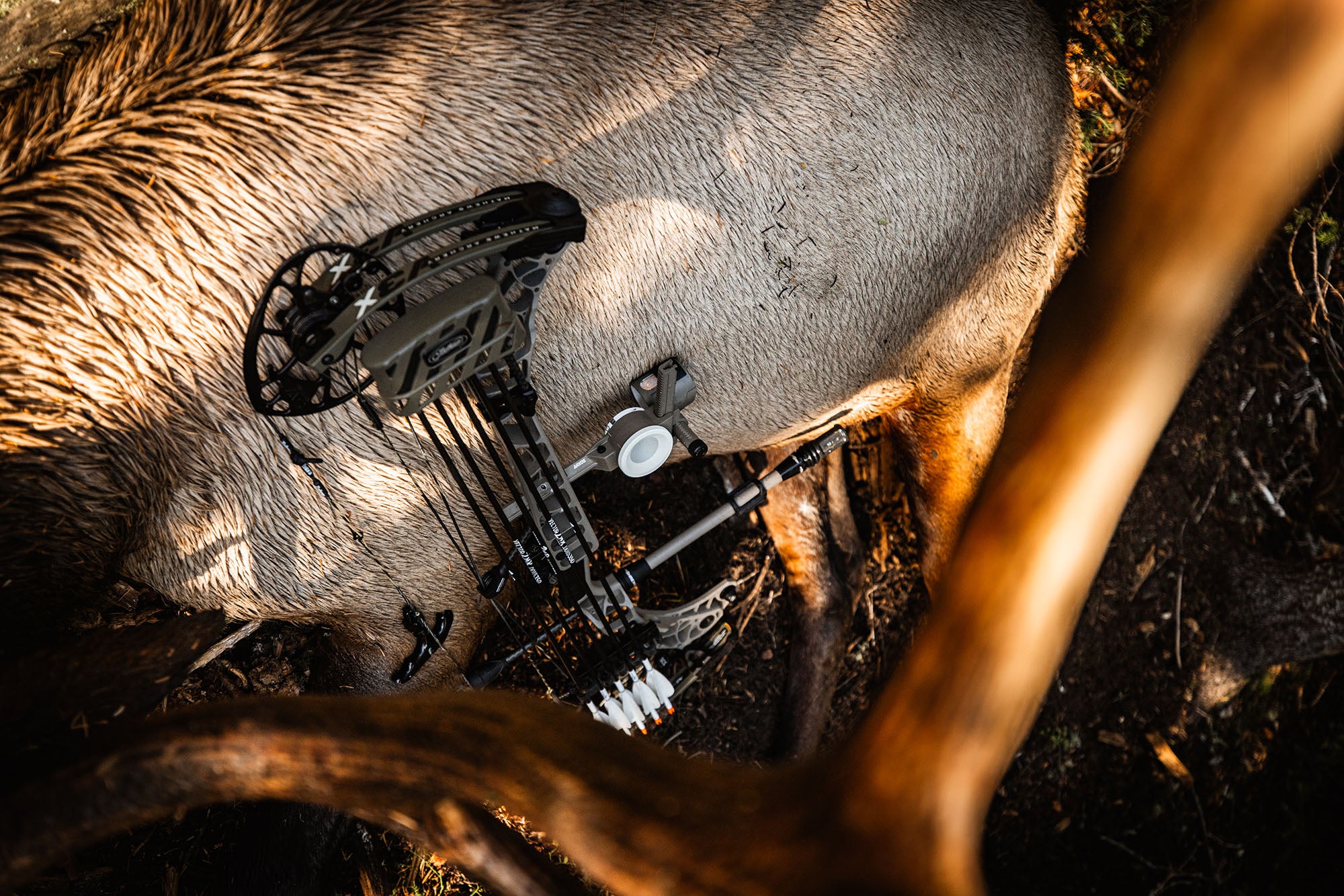 Dialed Archery | Made in the USA