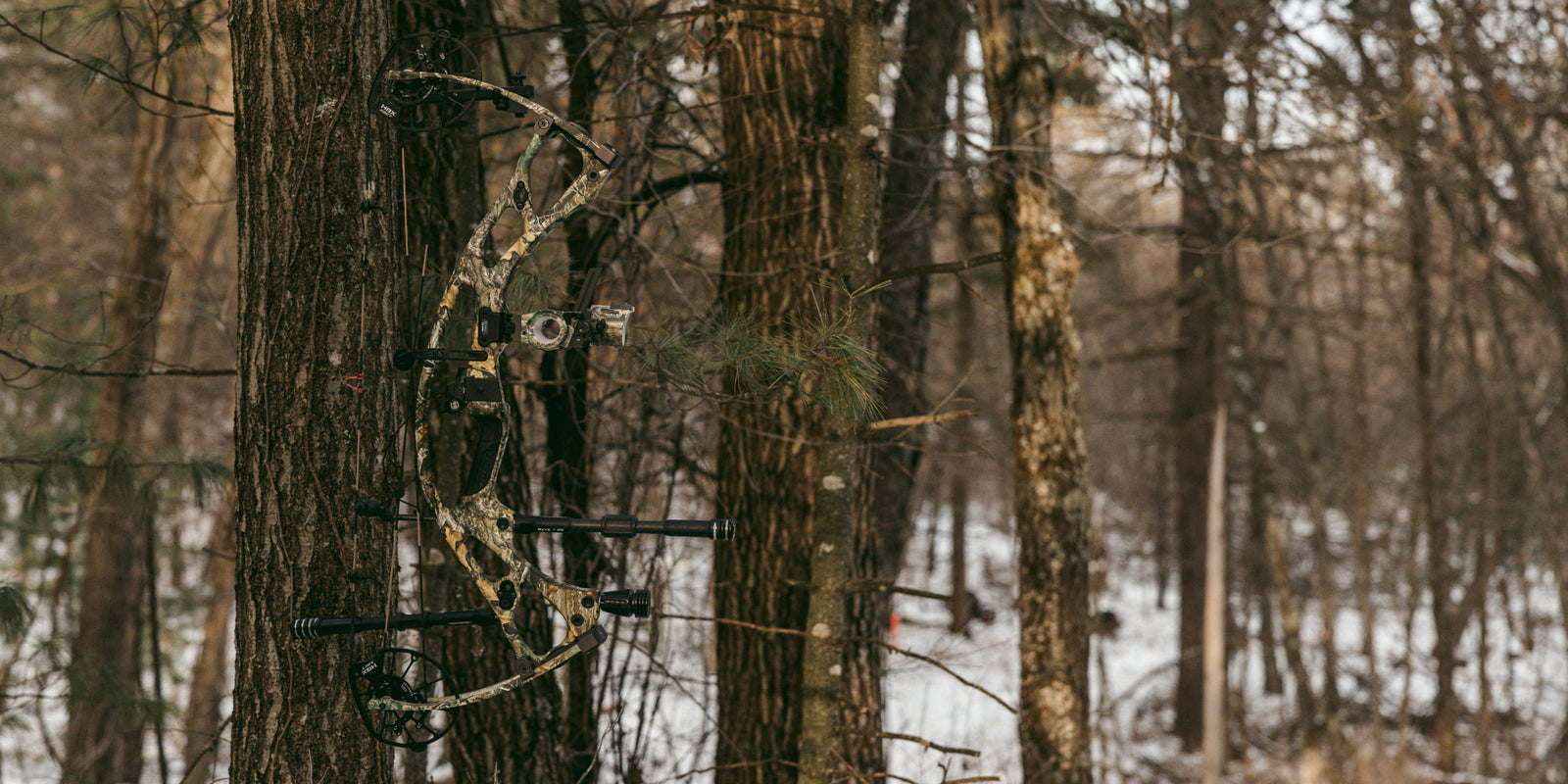 Dialed Archery | Made in the USA